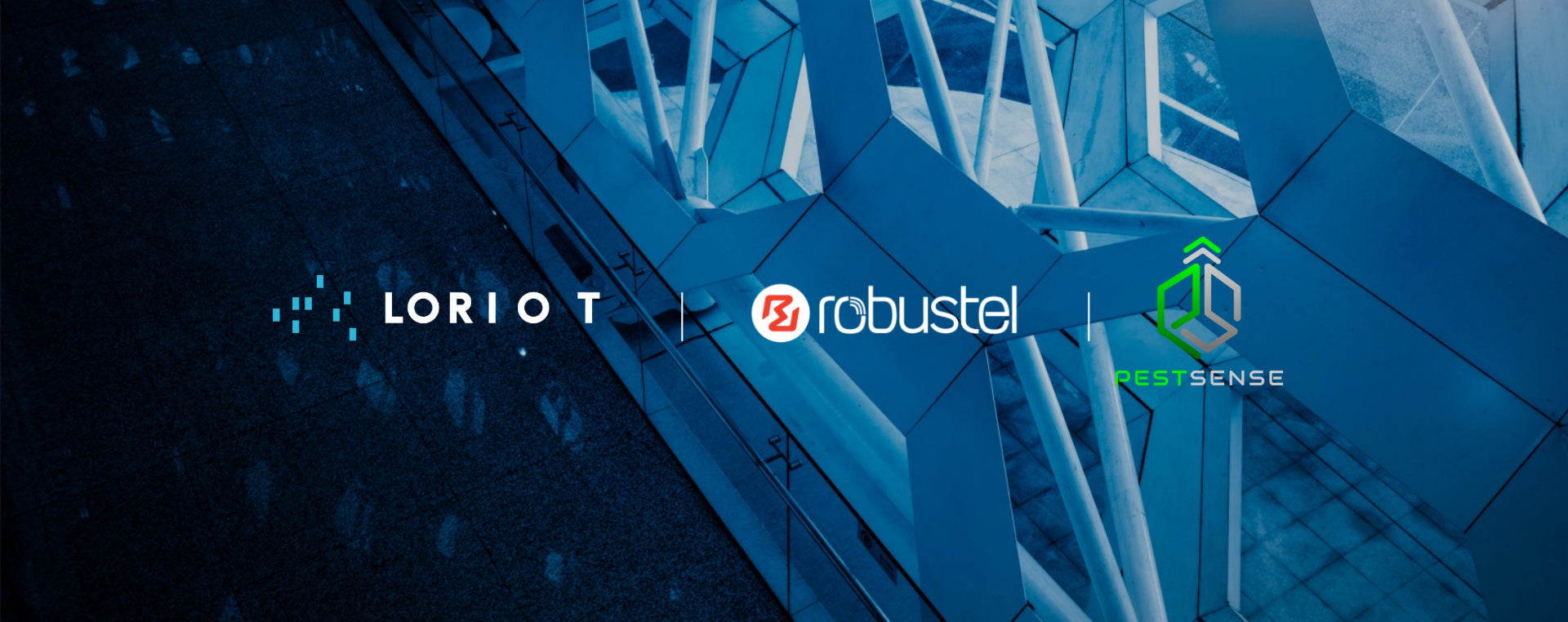 Robustel and LORIOT's LoRaWAN Technology Empowers PestSense